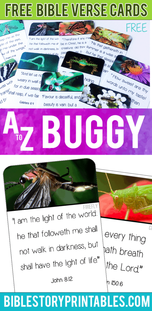 ABC Insect Bible Verse Cards - Bible Story Printables