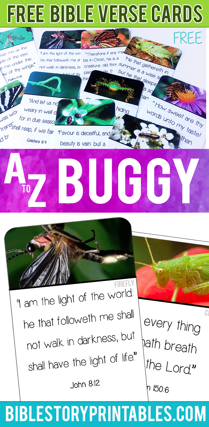ABC Insect Bible Verse Cards - Bible Story Printables