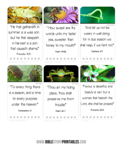 ABC Insect Bible Verse Cards - Bible Story Printables